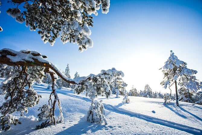 All Day Snowmobile Driving - The Sum Up: Who Should Consider This Tour?