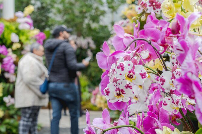 All-Garden Pass for the New York Botanical Garden - A Practical Introduction to the All-Garden Pass Experience