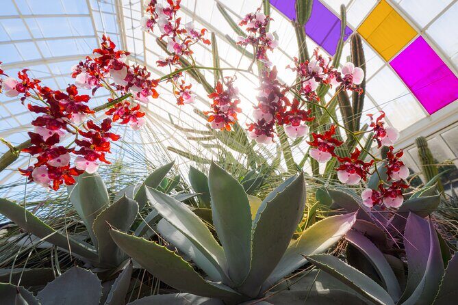All-Garden Pass for the New York Botanical Garden - Who Should Consider This Experience?