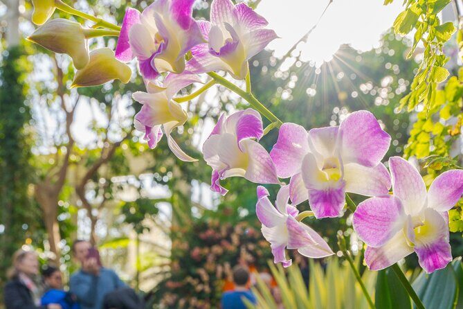 All-Garden Pass for the New York Botanical Garden - FAQ: Your Practical Questions Answered