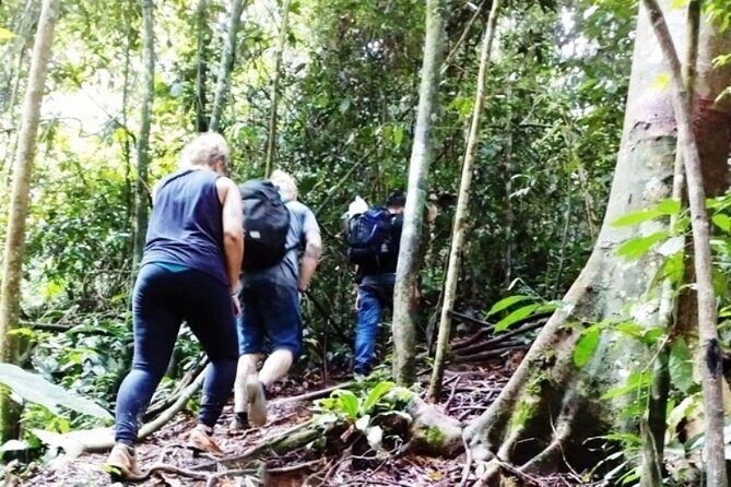 All-in 2N/3D Bukit Lawang Tour For School - Key Points