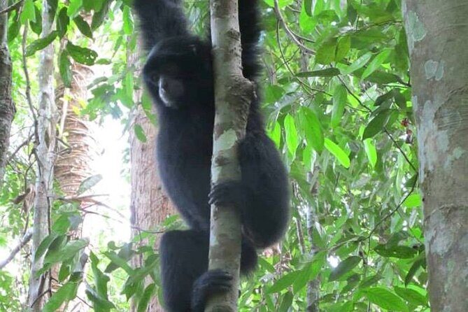 All-in 3N/4D Bukit Lawang Tour For School - Starting the adventure: from Medan to Bukit Lawang