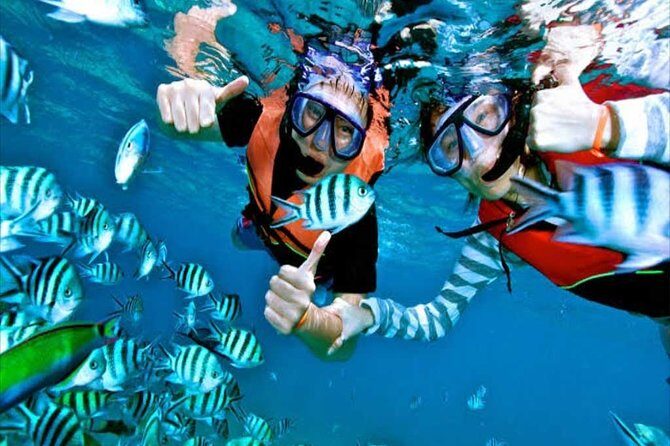 (ALL- IN) Bali Snorkeling Blue Lagoon And Tanjung Jepun - Key Points