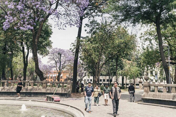 All-in-one CDMX adventure - Frequently Asked Questions
