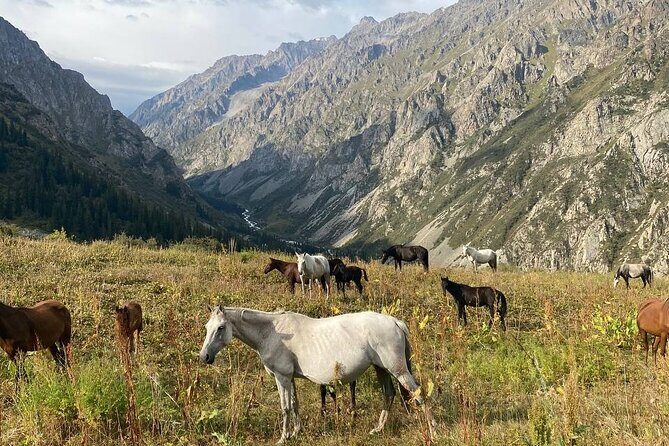 All in one-day: Bishkek city tour and Ala-Archa National Park - Transportation and Timing