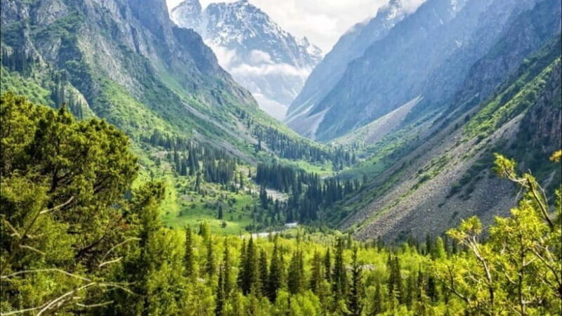 All in one-day: Bishkek city tour and Ala-Archa NP - Authentic Traveler Experiences