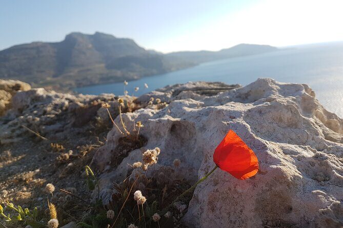 All in One Full Day Rhodes Island Tour for First Time Visitors - Navigating the Experience