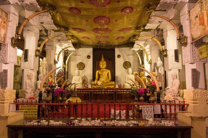All in one Sri lanka 7nights 8 days for couple price - Introduction: Why Consider This Tour?