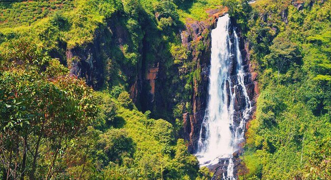 All in one Sri lanka 7nights 8 days for couple price - Guides and Expertise