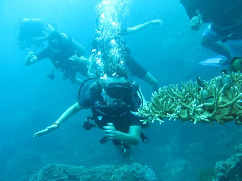 All Include Fun Dive At Menjangan Island - Why This Tour Feels Valuable