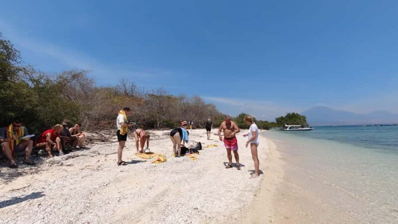 All Include Snorkeling Menjangan Island - Key Points