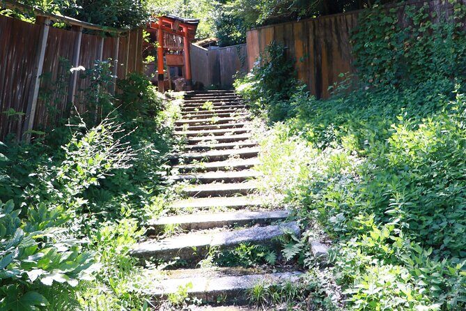 ALL INCLUDED:Short Exclusive Hidden Kyoto Private Tour with Local - Practical Considerations