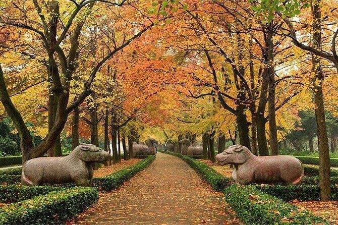 All Inclusive Amazing Nanjing City Highlights Private Day Tour - An In-Depth Look at the Tour Experience