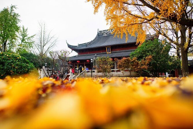 All Inclusive Amazing Nanjing City Highlights Private Day Tour - Who Should Consider This Tour