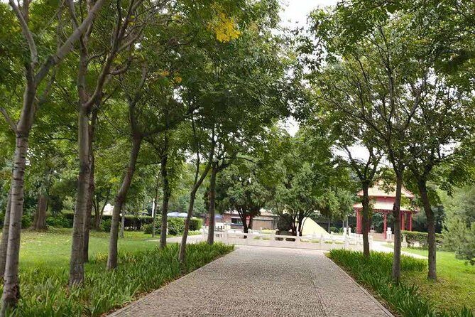 All inclusive Anyang Yin Xu ruins and Character Museum day tour from Zhengzhou - Final Thoughts: Is This Tour Worth It?