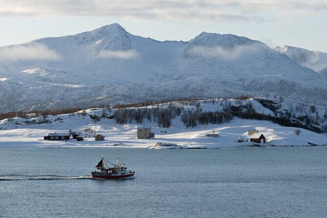 All-Inclusive Arctic Fjords and Sommarøy Scenic Tour - All-Inclusive Arctic Fjords and Sommarøy Scenic Tour: A Detailed Look