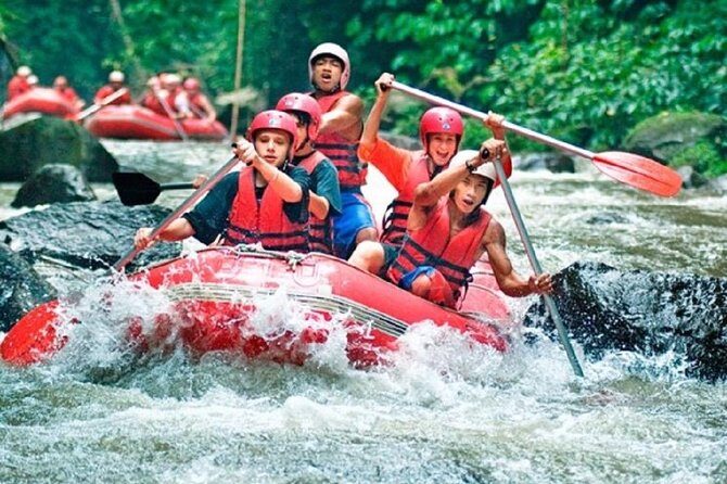 All inclusive : Ayung River White Water Rafting Lunch and Private Transport - Key Points