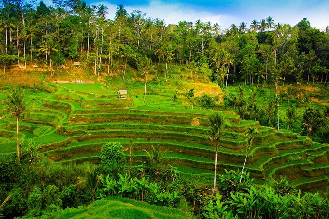 All Inclusive Bali ATV with Rice Terraces, Swing and Waterfall - Practical Details: Timing, Transportation, and Group Size