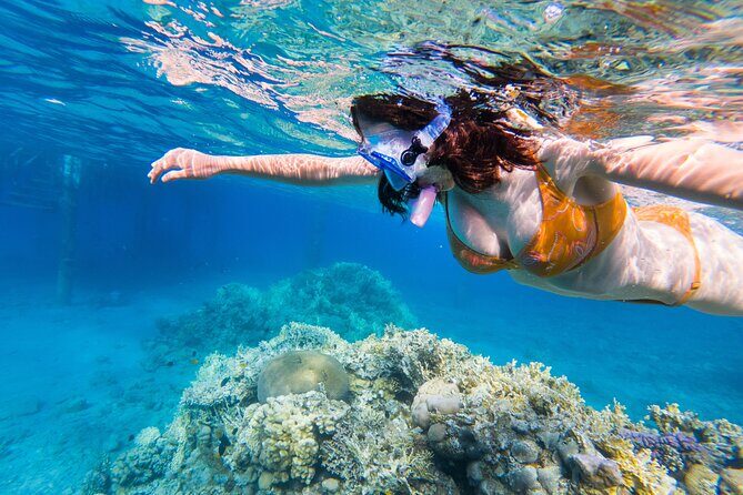 All Inclusive Bali Blue Lagoon and Tanjung Jepun Snorkeling - What You Can Expect from This Bali Snorkeling Tour
