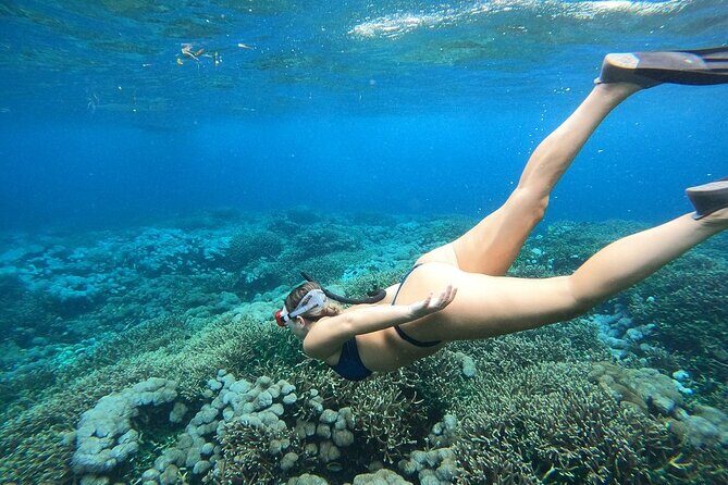 All Inclusive Bali Blue Lagoon and Tanjung Jepun Snorkeling - The Sum Up: Who Should Consider This Tour?