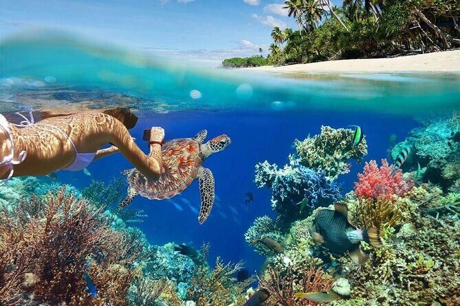 All Inclusive Bali Blue Lagoon Snorkeling Adventure - Key Points