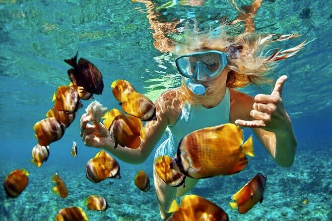 All Inclusive Bali Blue Lagoon Snorkeling Adventure - The Sum Up