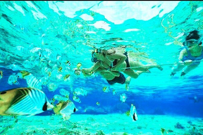 All Inclusive : Bali Blue Lagoon Snorkeling, Lunch, and Transport - Who is this tour perfect for?