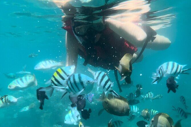 All Inclusive : Bali Blue Lagoon Snorkeling with Lunch &Transfers - A Closer Look at the Experience