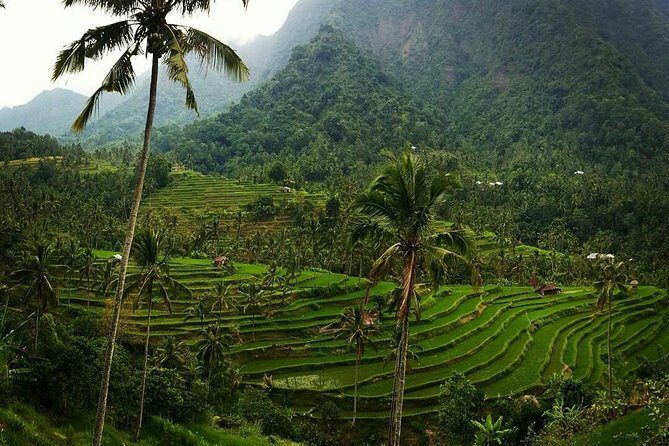 All inclusive Bali Sekumpul Waterfalls Trekking Tour - Who Would Love This Tour?