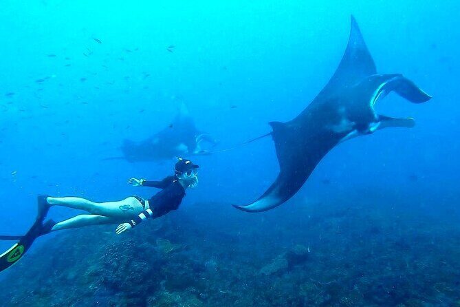 All-Inclusive Bali to Nusa Penida Tour and Manta Snorkeling - Exploring the All-Inclusive Bali to Nusa Penida Tour and Manta Snorkeling