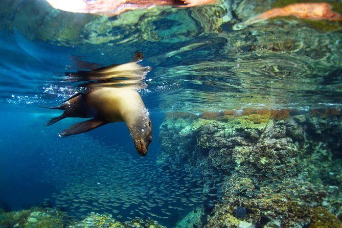 All-Inclusive catamaran Espiritu Santo Island Tour from Los Cabos - Cruising Into the Heart of Nature