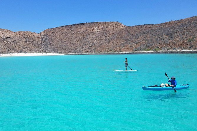 All-Inclusive Catamaran Tour | Beaches & Sea Lions from Los Cabos - Pricing and value
