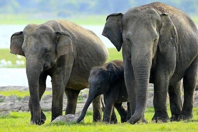 All-inclusive Central Sri Lanka Three Days Tour - Key Points