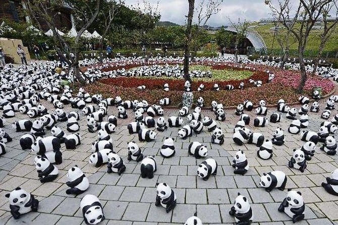 All Inclusive Chengdu Giant Panada Base Private Day Tour from Guangzhou by Air - What Travelers Say: Authentic Perspectives