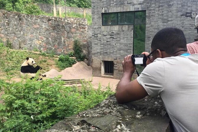 All-Inclusive Chengdu Private Tour of Panda Base and Optional Sightseeing - Key Points