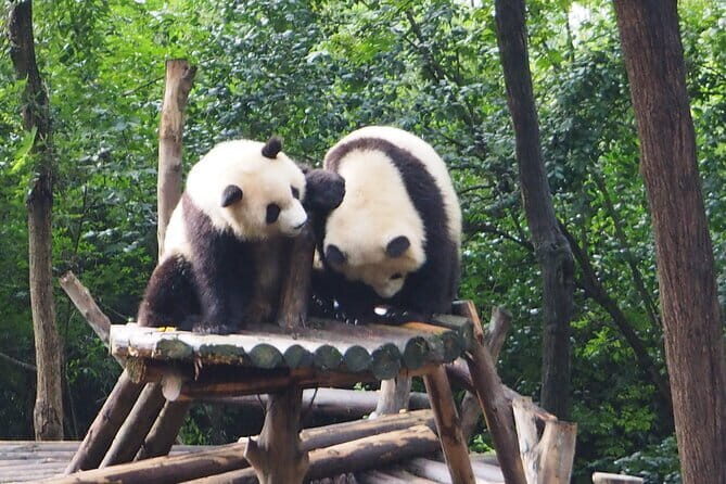 All-Inclusive Chengdu Private Tour of Panda Base and Optional Sightseeing - The Practical Details
