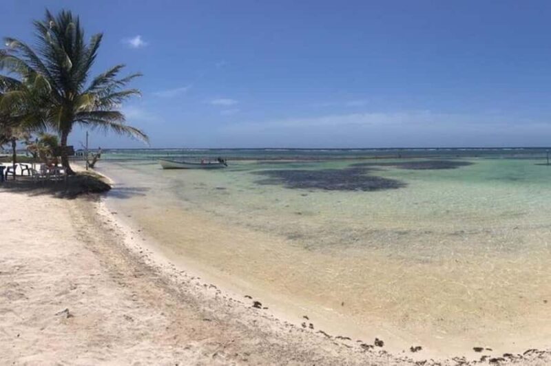 All-Inclusive Costa Maya Beach Break with Open Bar - Key Points