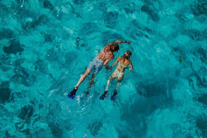 All Inclusive Cozumel: Coast & Relax 4hrs in 51" Leopard - The Marine Environment and Locations