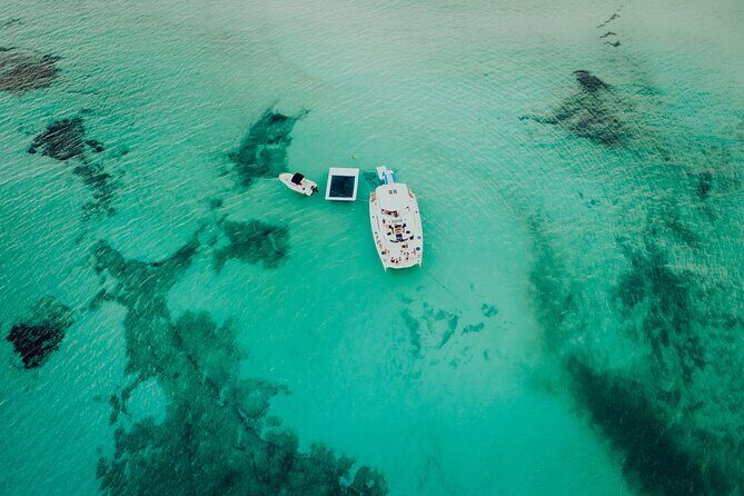 All Inclusive Cozumel: Coast & Relax 4hrs in 51" Leopard - Who Will Love This Experience?