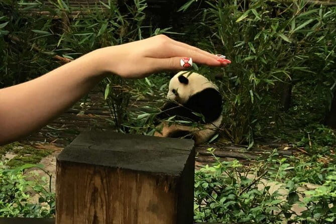 All-Inclusive: Customizable Giant Panda Private Day Trip in Chengdu - Who Should Consider This Tour?