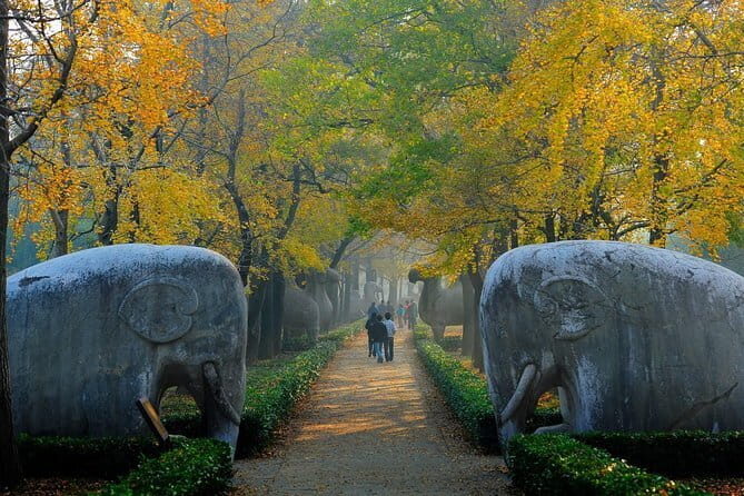 All-inclusive Customized Nanjing Layover Tour - The Detailed Experience: More Than Just a Quick Tour