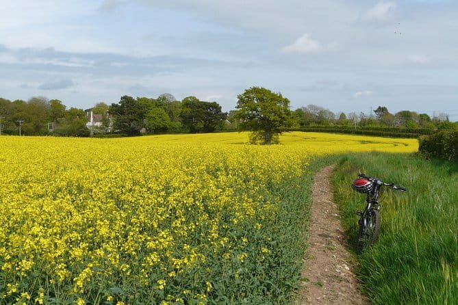 All Inclusive Cycling trip to the Teeth Mountain from Khajuraho - Who Should Consider This Tour?