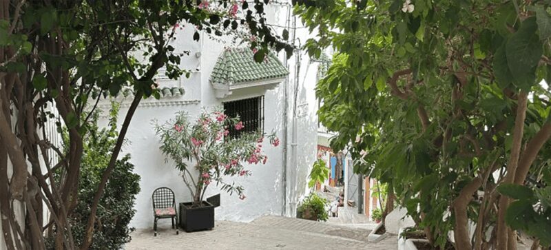 All-Inclusive Day Trip from Cádiz to Tangier, Morocco - How Does the Price Reflect the Experience?