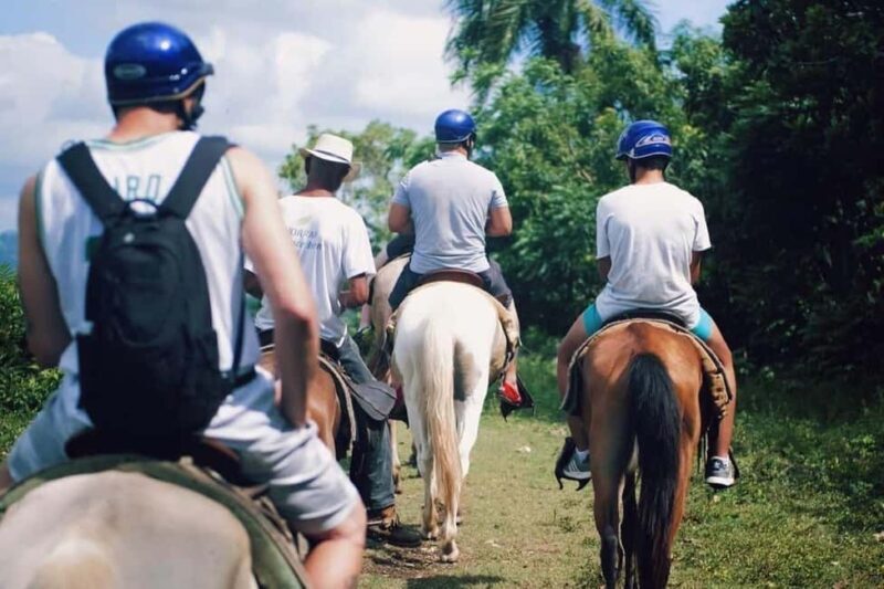 All-Inclusive Day Trip from Punta Cana: DR Culture Immersion - The Balance of Value and Experience