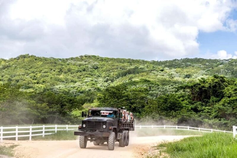 All-Inclusive Day Trip from Punta Cana: DR Culture Immersion - Who Will Enjoy This Tour?