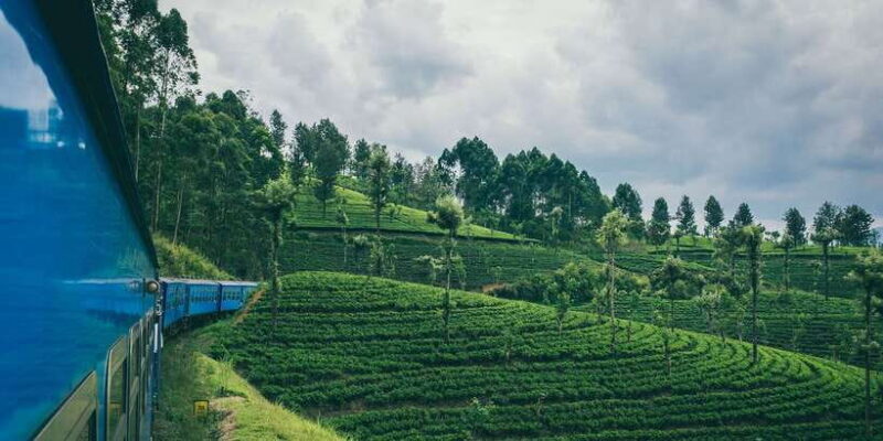 All Inclusive Ella From/To Kandy Scenic Train Journey - The Experience Versus Expectations: What Real Travelers Say