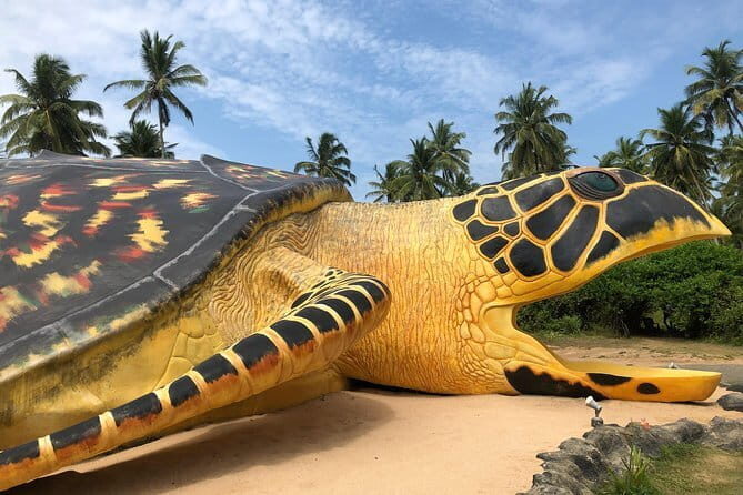 All Inclusive Full Day Guided Tour to Galle - Who Will Love This Tour?