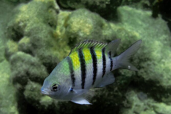 All-Inclusive Full-Day Private Boat Tour with Lunch & Drinks - FAQs