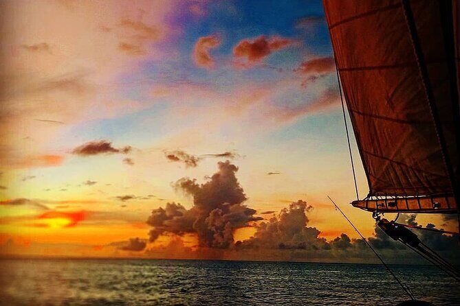 ALL INCLUSIVE Full Day snorkeling & sunset cruise with boat dogs - Final Thoughts