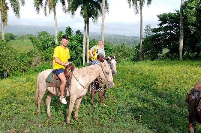 All Inclusive Full Day Truck Safari - A Detailed Look at the Full-Day Truck Safari